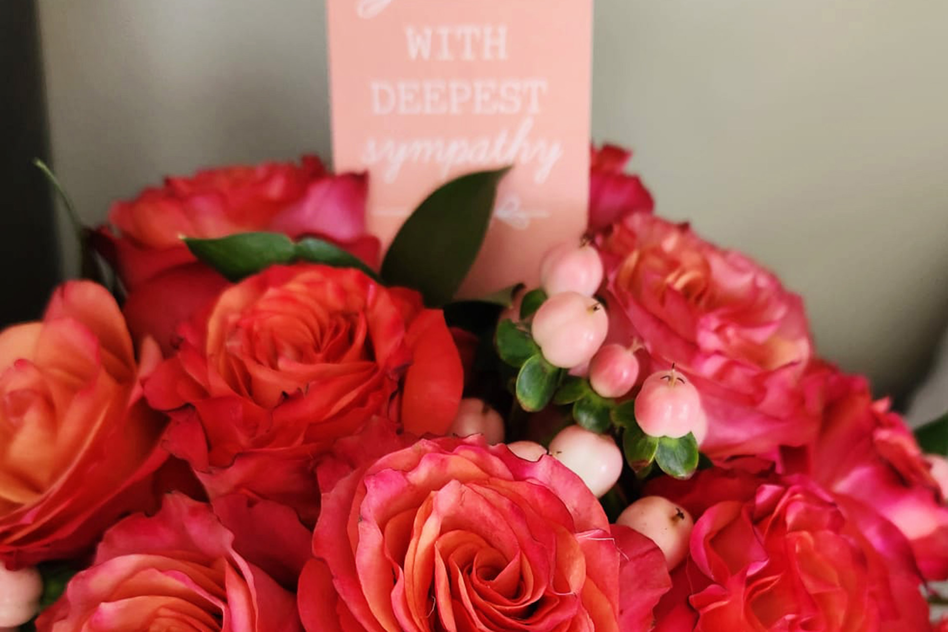 End of Life Care - Cayman Animal Hospital